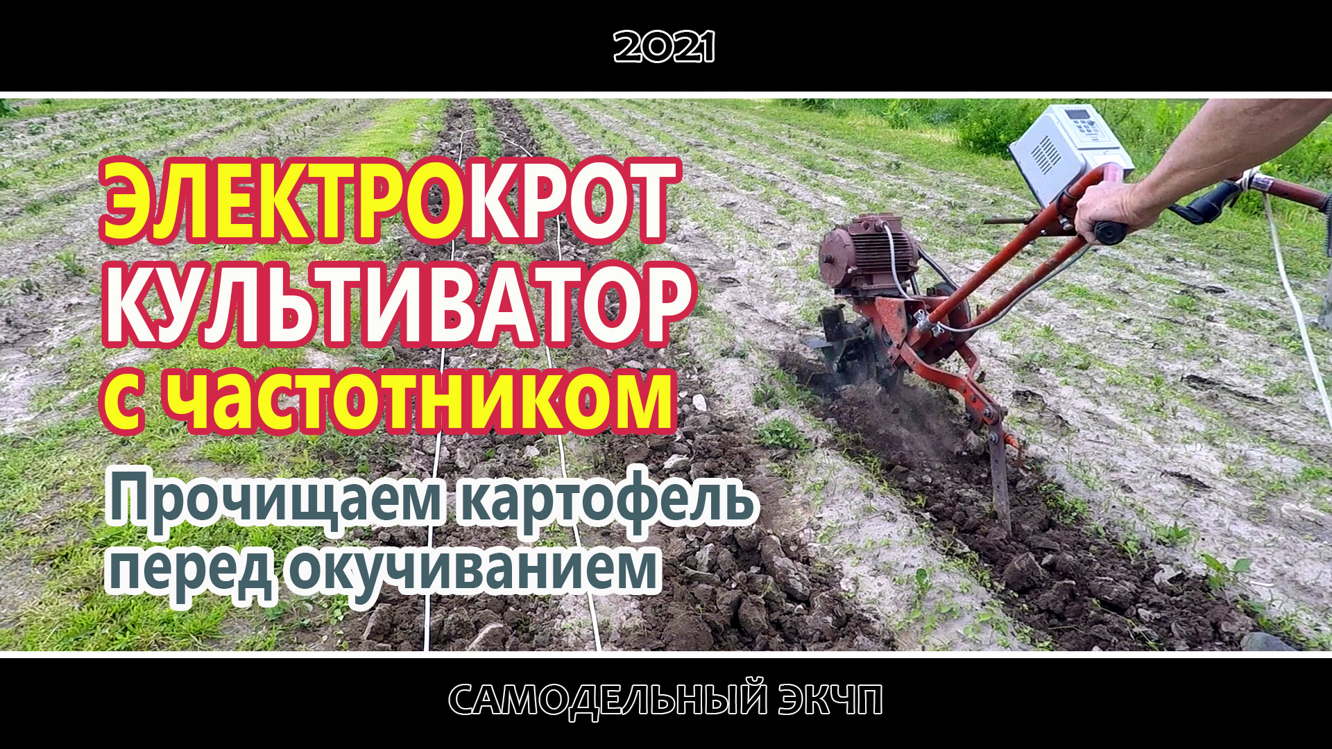 Прочищаем картофель перед окучиванием.