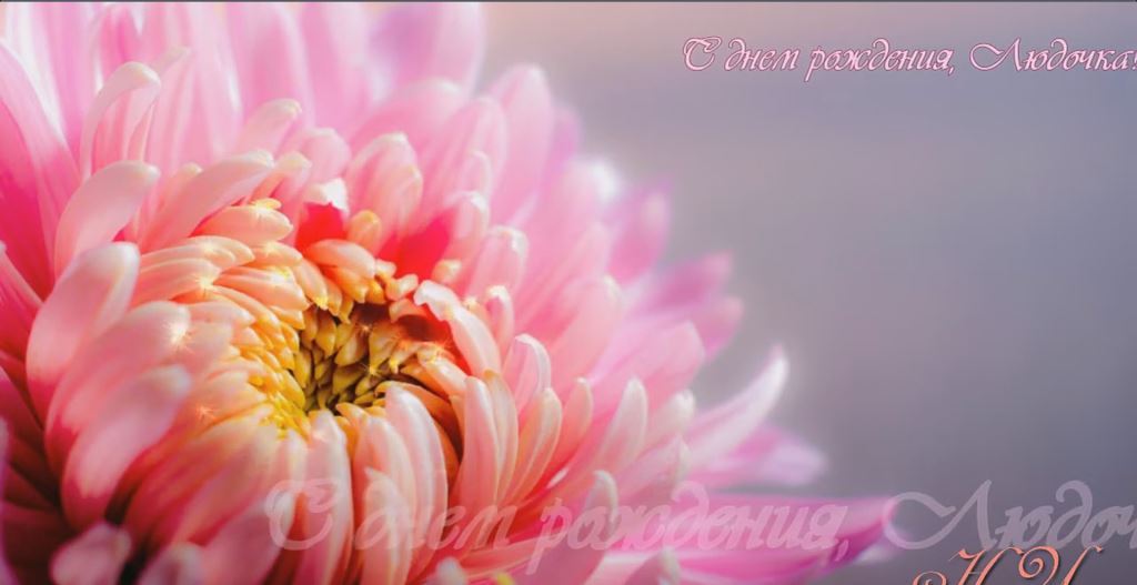 С днем рождения, Людочка| Студия 44