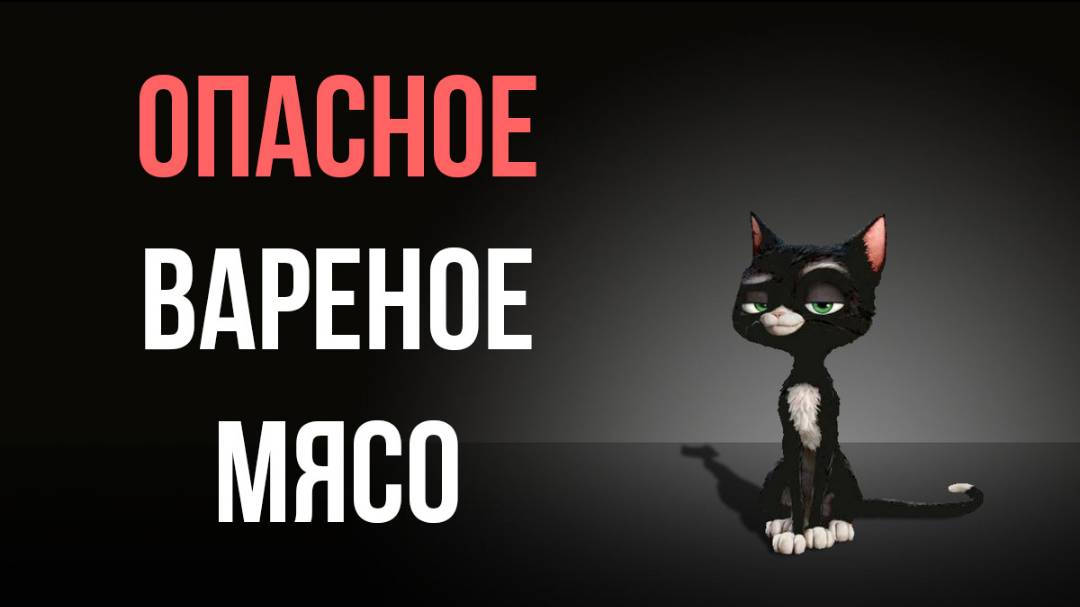 Так варить мясо кошке или нет?