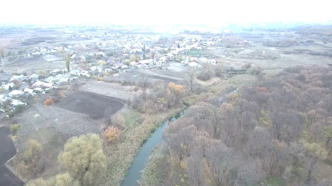 Старобельск Тушистый лес