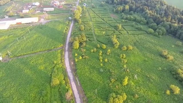 Средство от борщевика