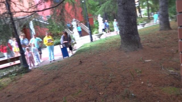 7) Белки на территории санатория ''Южное Взморье''.mp4