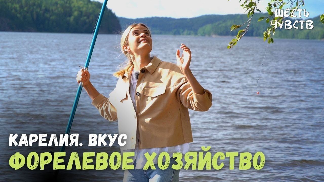 Форелевое хоз-во в Карелии // КАРЕЛИЯ. ВКУС // 6 чувств
