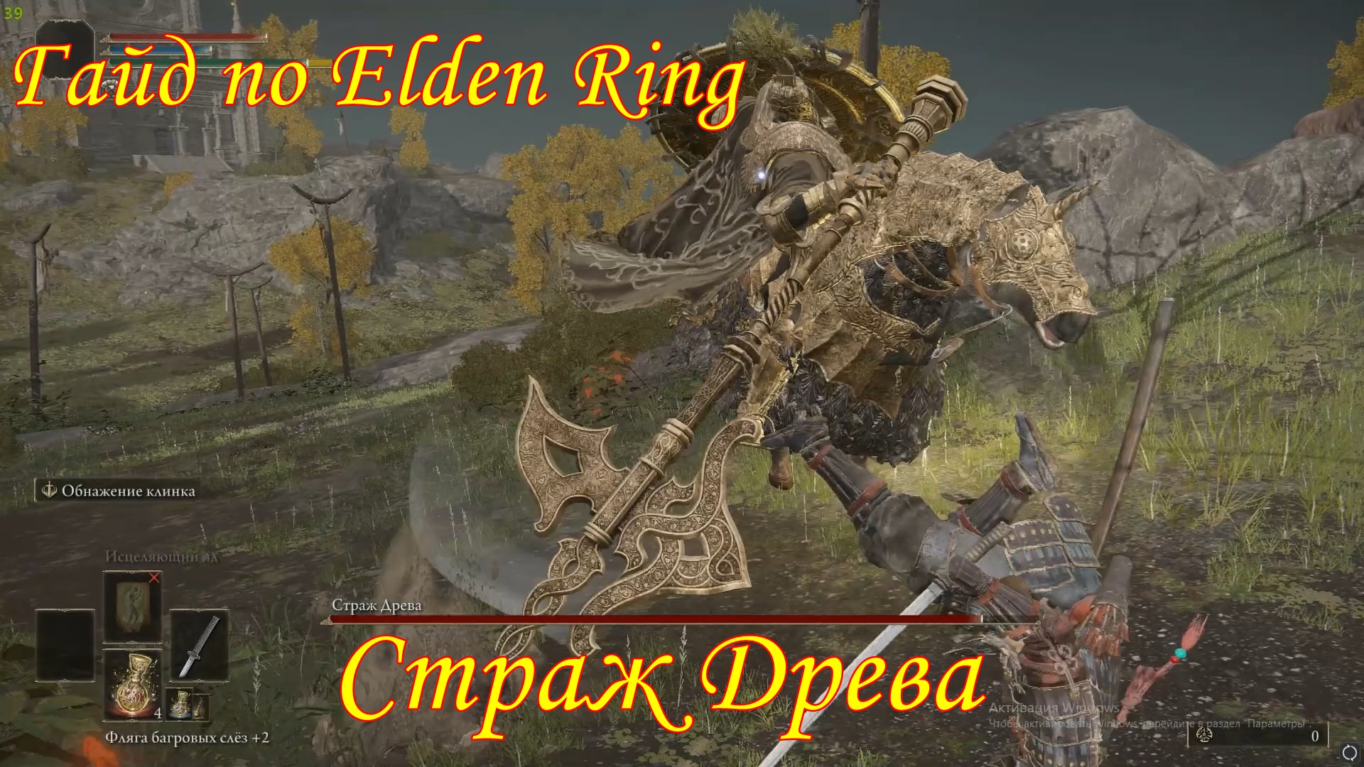 Гайд по Elden Ring. Страж Древа..