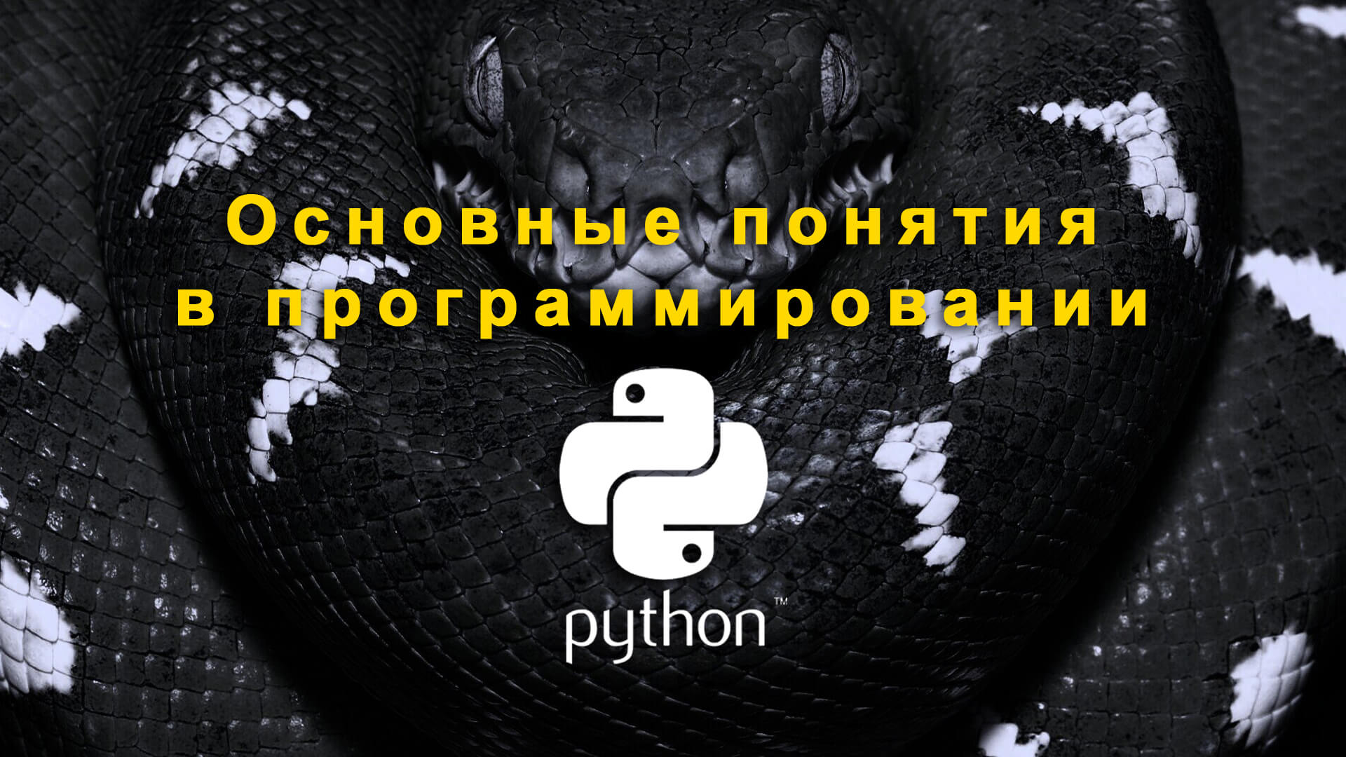 Программируем в Pyton. Урок 1. Основные понятия в программировании