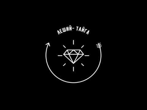 Конструкция системы питания и насос от тайги на снегоходе Буран