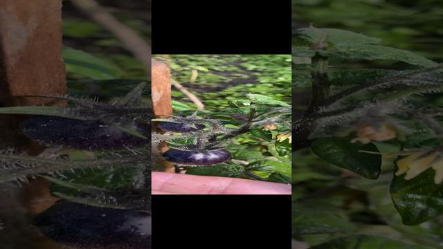 Больше всех ждала их ❤️