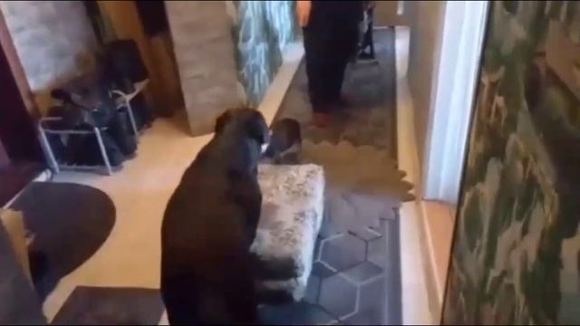 2 этап продолжение