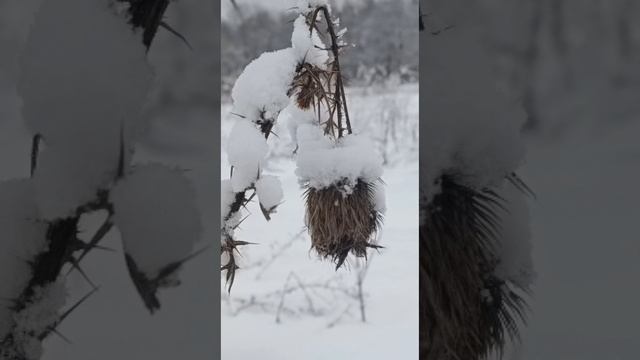 Сказочное время Рождества