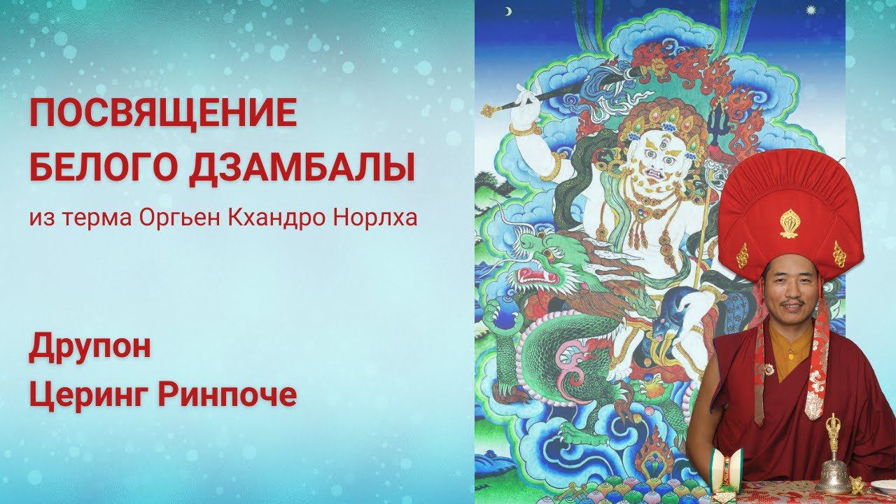 Посвящение Белого Дзамбалы. Друпон Церинг Ринпоче. 08.01.2024