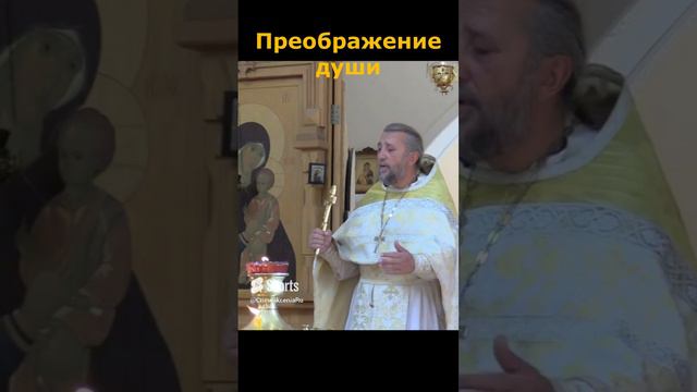 Смыслы и способы преображения души. Священник Игорь Сильченков.