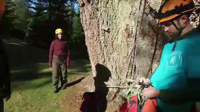 HW5e_UI_Unit_08_Great_Tree_Adventures_mixed