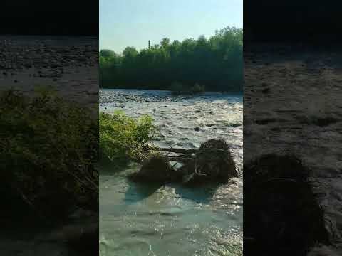 Бурный водяной поток Терека вырывает деревья из земли