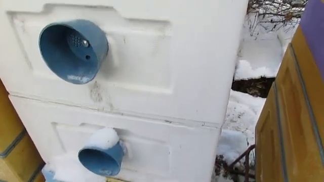 ответы на вопросы - последствия на пасеке после ледяного дождя