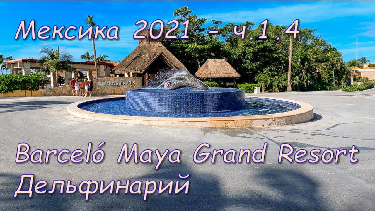 Мексика ч.1.4. Barcelo Maya Grand Resort. Дельфинарий.
