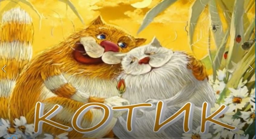 КОТИК.