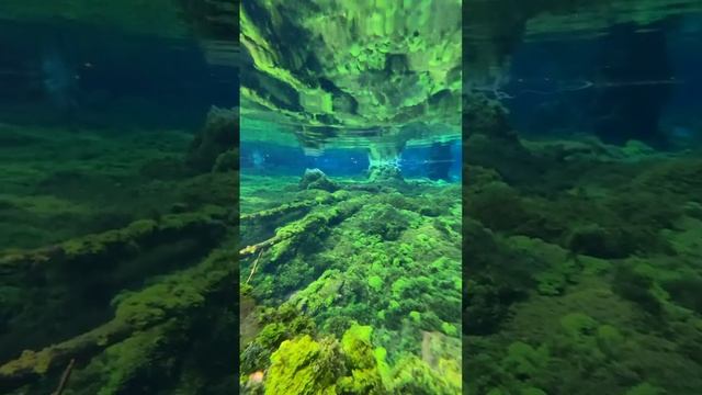 Граница двух миров