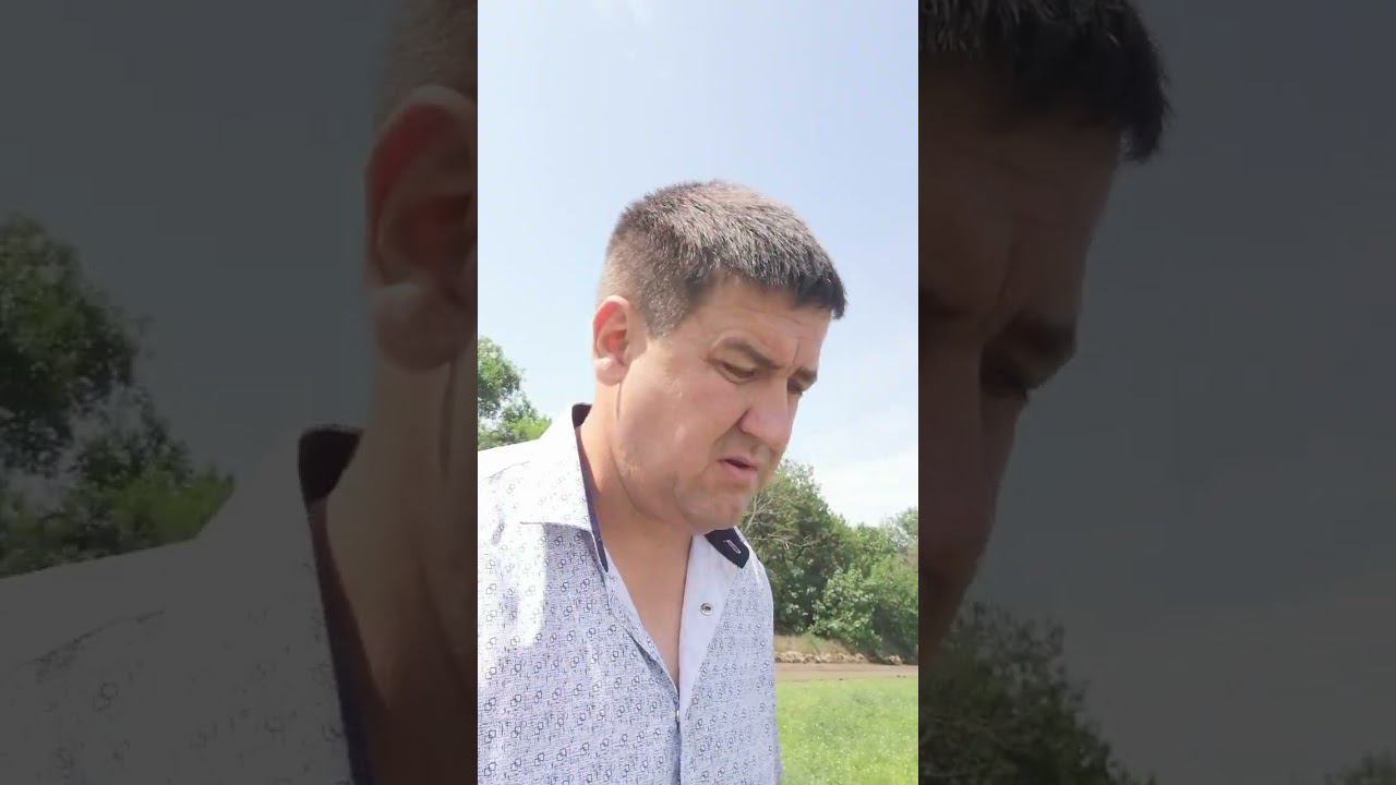 расследование на канале#нут#сельскоехозяйство #farming #агроном