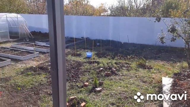 Мангал. Огород..mp4