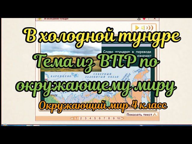 В холодной тундре