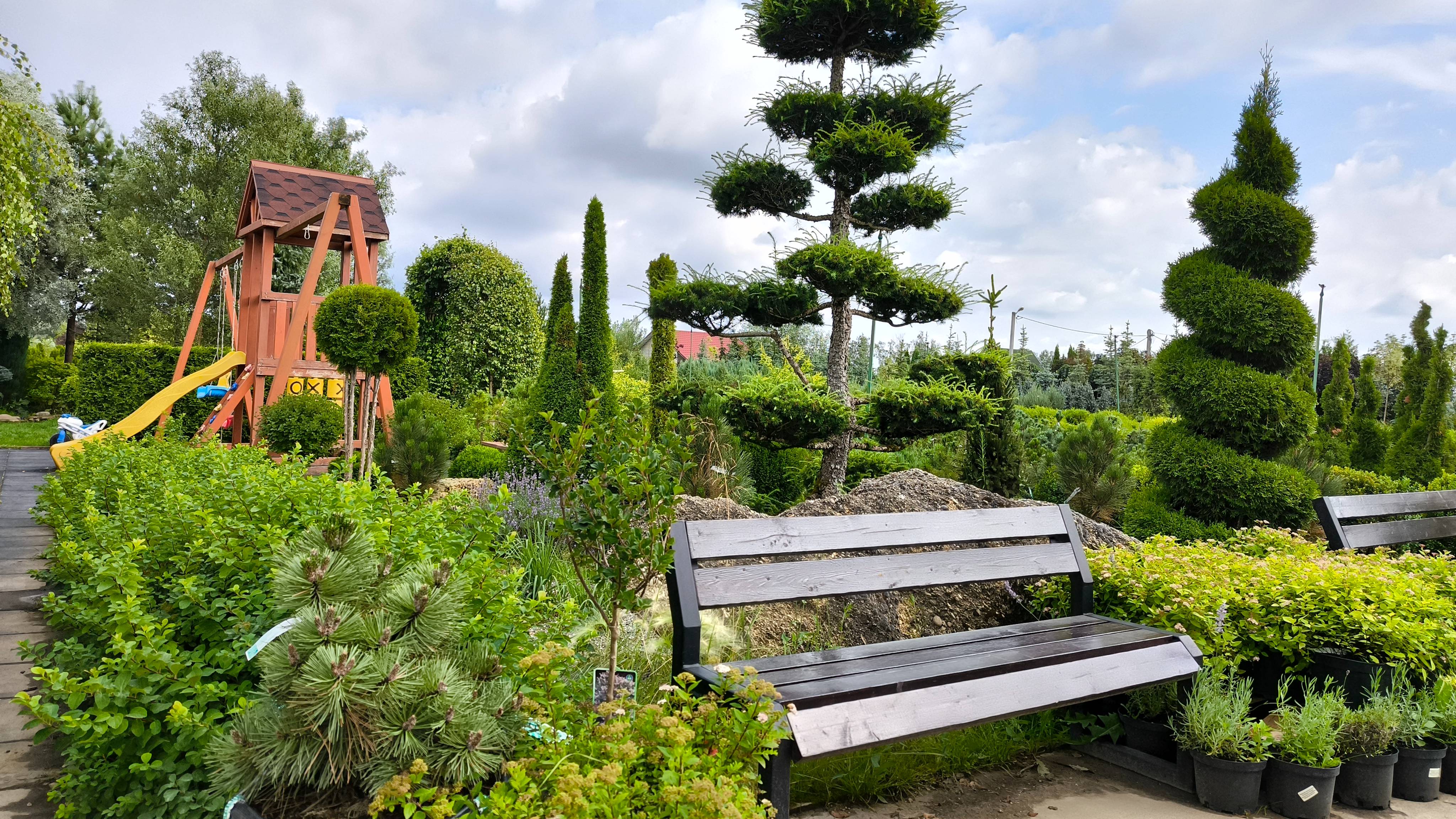 Лето-2024 в "Ромашкино Парк"