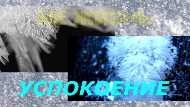 успокоение-11