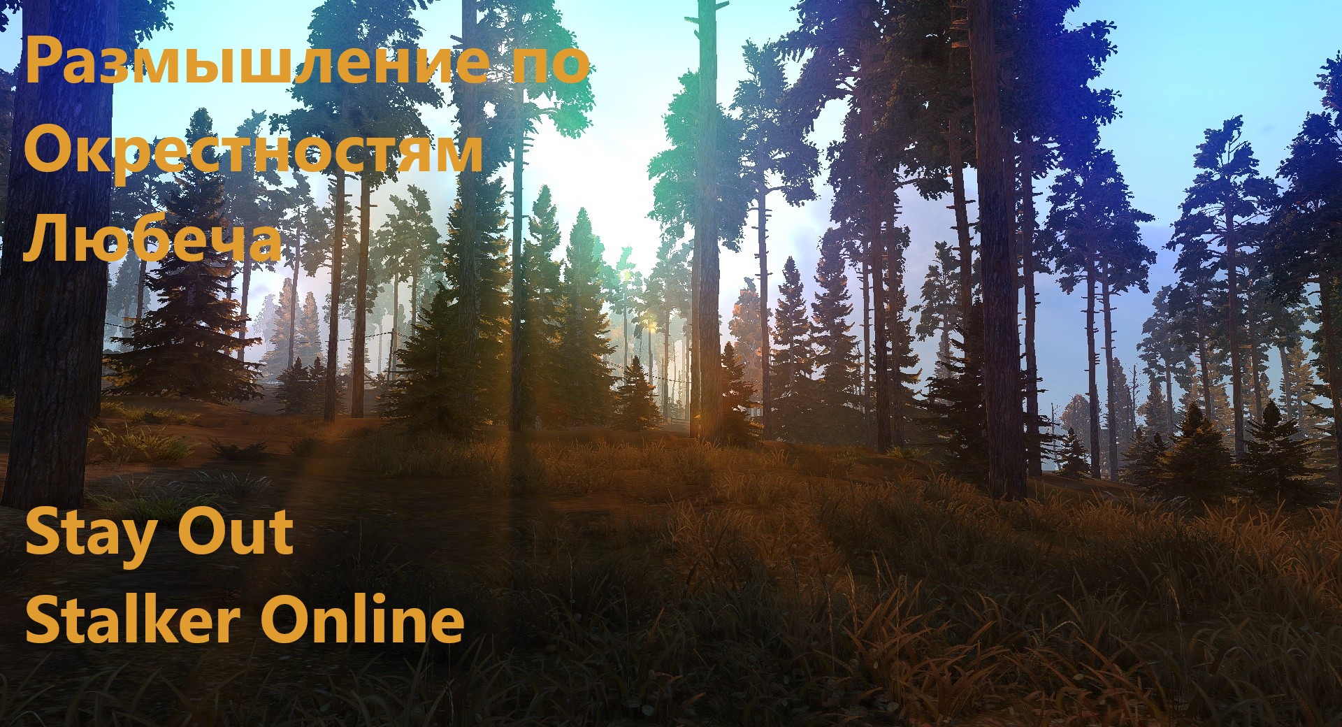 Stay Out  / Stalker Online Размышление по Окрестностям Любеча