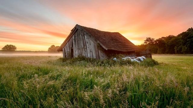 John Adorney. Always