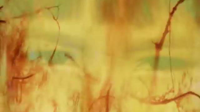 Enigma - The Eyes Of Truth (Official Video)