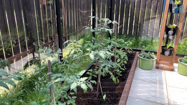 Y2mate.mx-🔥ТЕПЛИЦА СВОИМИ РУКАМИ. Сделали сами намного ДЕШЕВЛЕ. Обзор и материалы