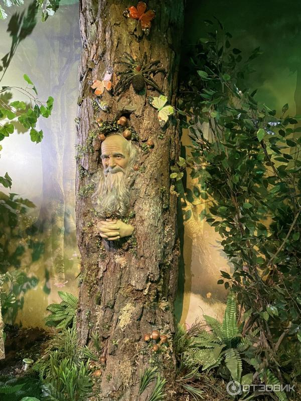 «ДАР ЛЕШЕГО». ДЛЯ  ДОСТАТКА. ДЛЯ ВСЕХ. ВЕДЬМИНА ИЗБА. ИНГА ХОСРОЕВА.mp4