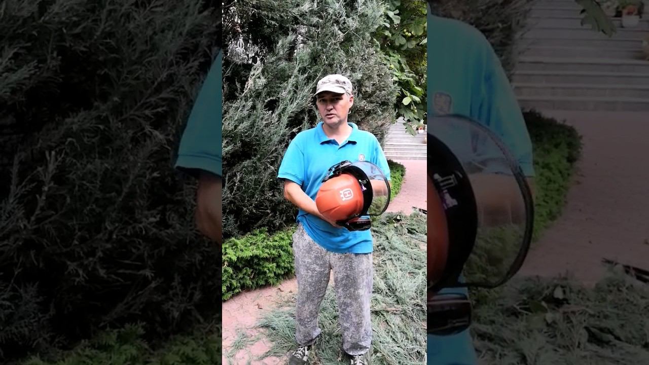 Защита глаз при стрижке деревьев - очки или щиток. #шортс #топиар #каска