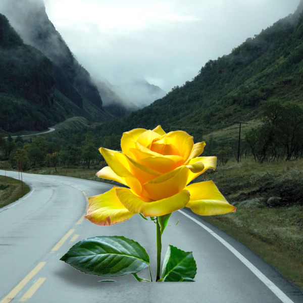 jarelik (V. Zharkov) shows.mp4
#друзьямировесникам