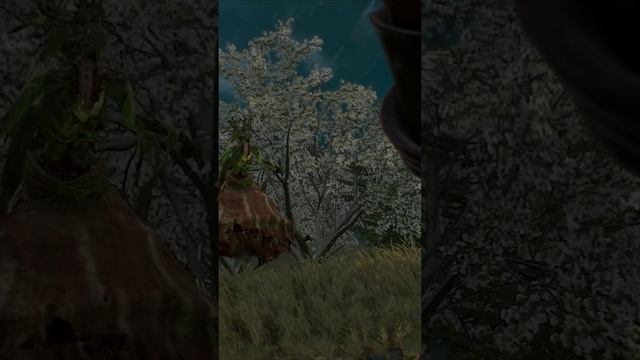 Убийство белой Дамы Ведьмак 3: Дикая Охота