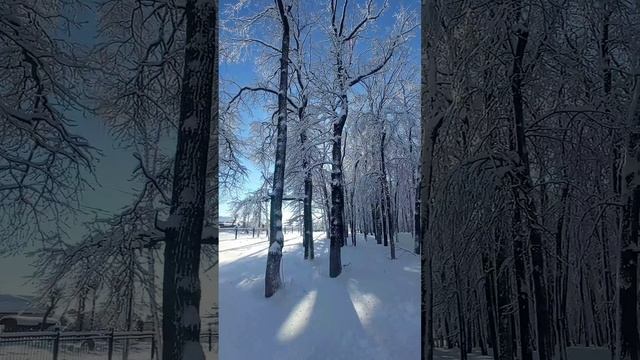 #рузаевка #мордовия #зима #январь #снег #прогулкапопарку #зимниепейзажи #парк