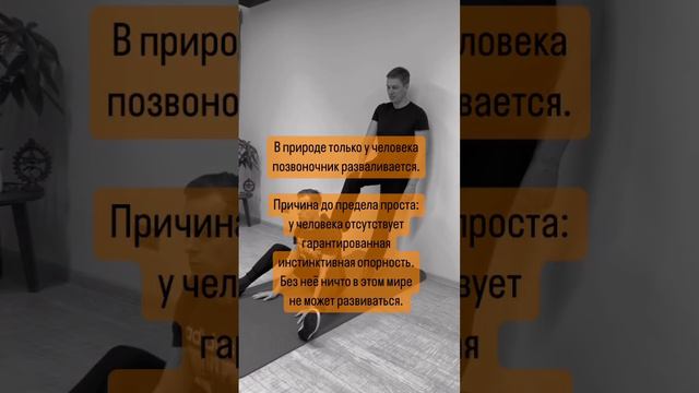 В природе только у человека позвоночник разваливается