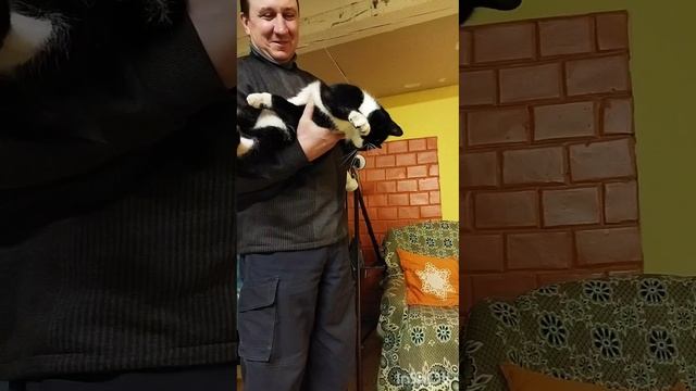 Умка ревнует к Тарзану.