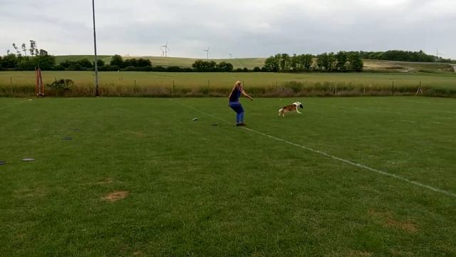 Qualifier Austria'17 Eva & Magic R2.mp4