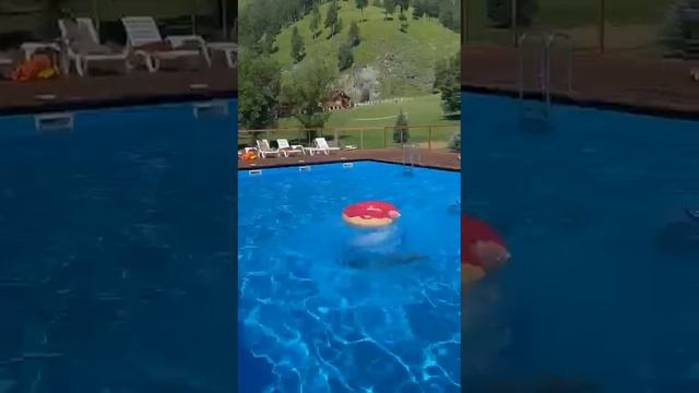 Ролик покорил You Tube!Больше миллиона просмотров и растёт!Прыжок Века!Мама показала Класс!