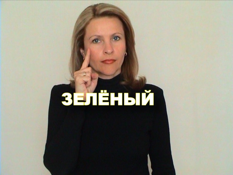 ЖЕСТОВЫЙ ЯЗЫК. СЛОВАРЬ. Зеленый