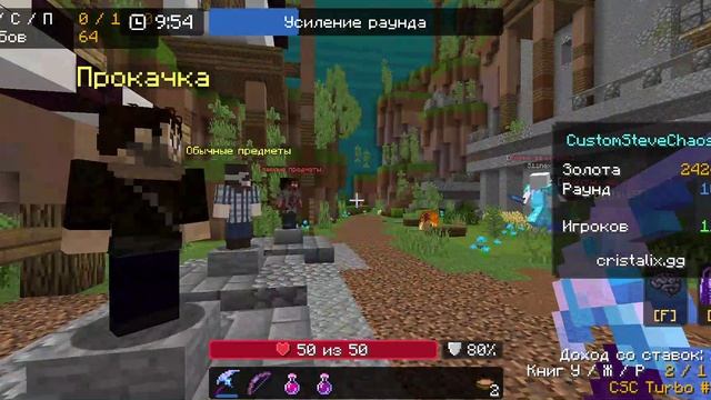 csc 
Custom Steму Chaus