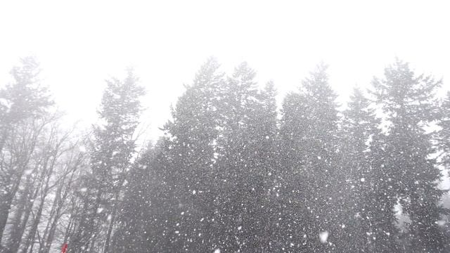 Снегопад 2.mp4