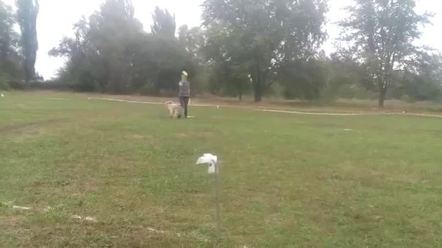 FrisbeeManiя Ольга и Персик.mp4