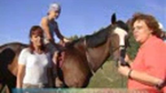 Центр иппотерапии ЛУЧИК