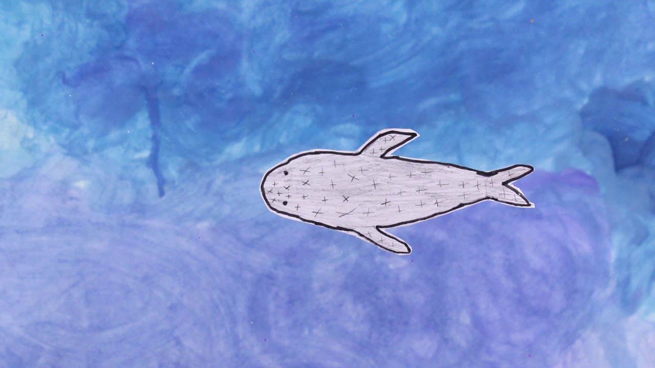 Веселые акулы