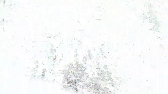 Прогулка в заснеженном парке Кусково 2019