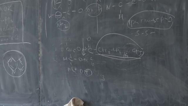 8. Шноль С. Э. - Введение в биоорганическую химию - Обмен веществ.mp4