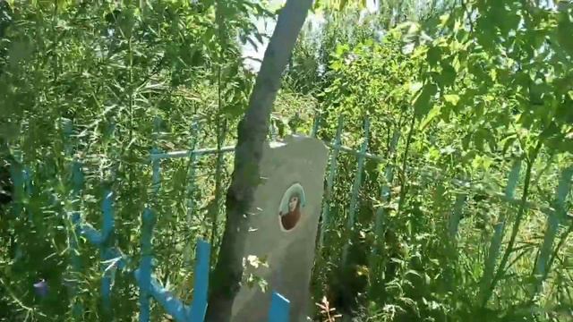 Пришла убраться, а пришлось подглядывать.