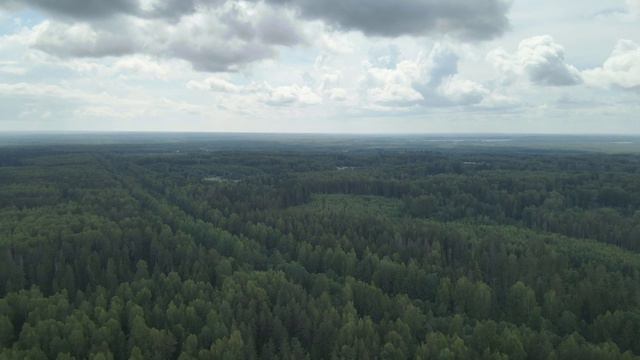 Красивое Видео С Высоты Птичьего Полета