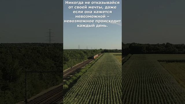 Только вперед!